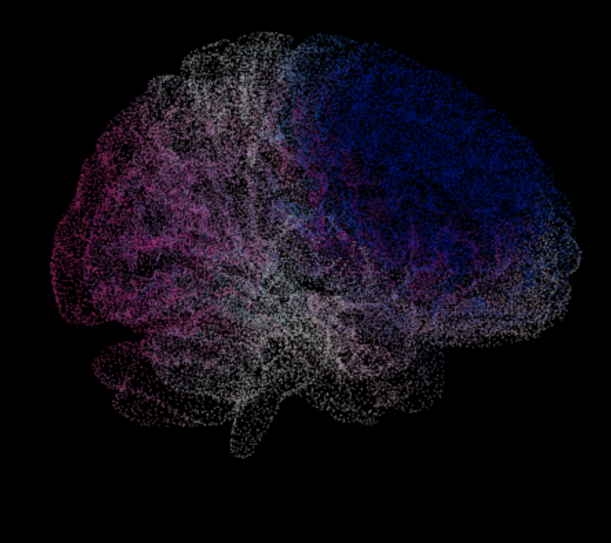 brainsatplay: Deploying Brain-Responsive Experiences on the Web ...